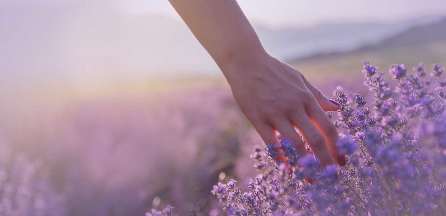 The PERMAH Model for Optimal Wellbeing - Margie Lynch Coaching & Consulting